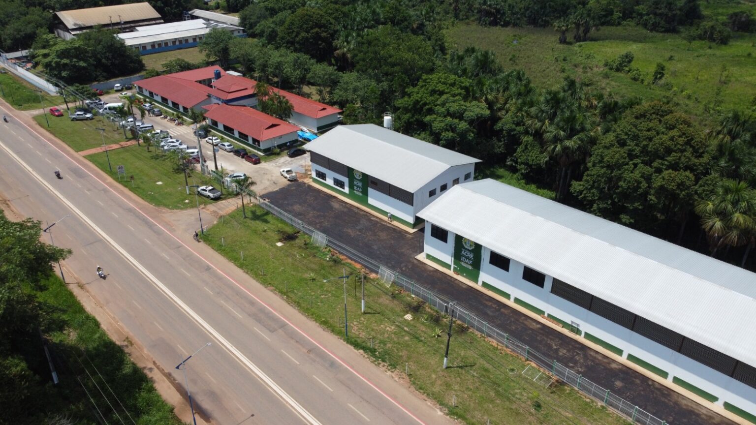 Instituto de Defesa Agropecuária e Florestal encerra 2024 com saldo ...